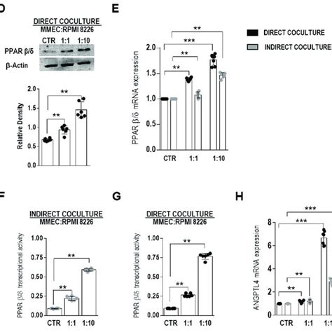 Impact Of The Bone Marrow Bm Microenvironment On Ppar βδ Expression