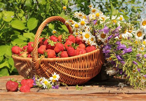 Photo Flower Camomiles Strawberry Wicker Basket Food Bells 2560x1774