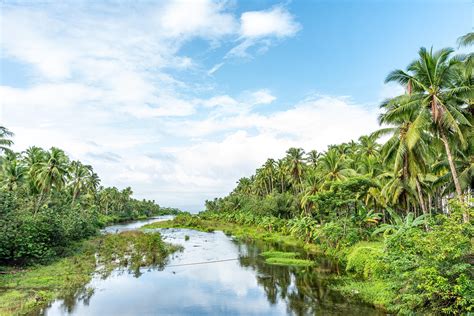 300 Free Desnudes Y Caca And Alphabet Images Pixabay