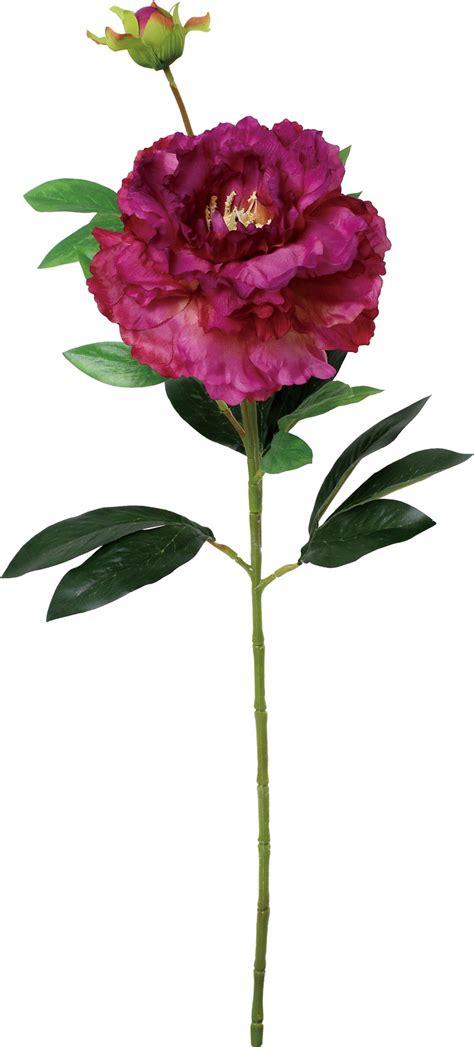 ﾌﾘﾙﾋﾟｵﾆｰ 造花（アーティフィシャルフラワー） ｜ Ydmオンラインストア ｜ 横浜ディスプレイミュージアム