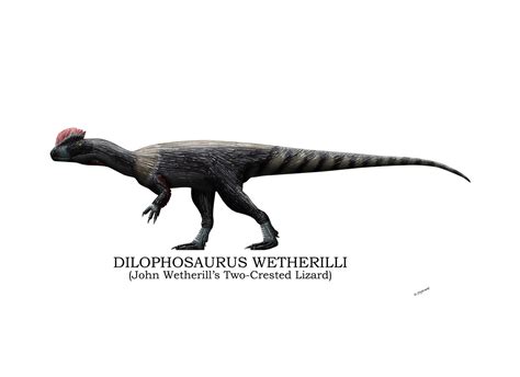 Dilophosaurus Wetherilli Profile By Hamish1512201 On Deviantart