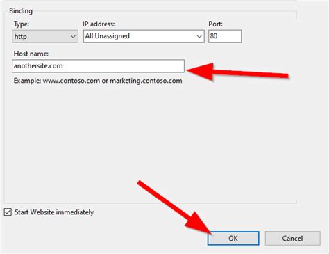 Self Hosting Multiple Websites In Iis