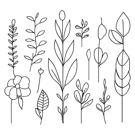 Premium Vector A Line Drawing Of Different Plants Scientific