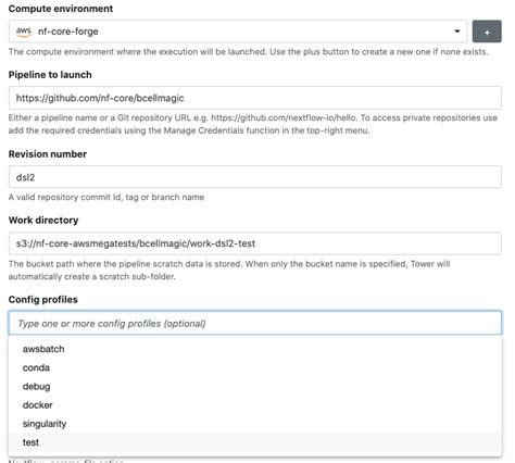Bug Profile Not Recognized · Issue 300 · Seqeralabsnf Tower · Github