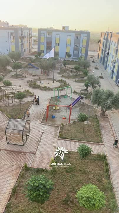 Molham Team On Linkedin Molhamteam