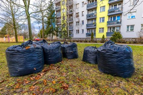 Mowed Grass Packed Into Black Bags On The Lawn In Front Of An Apartment