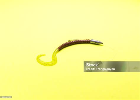 Texas Rig With Bullet Sinker Glowing Plastic Worm And Offset Worm Hook