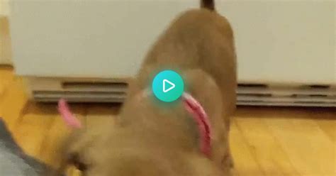 Lick  On Imgur