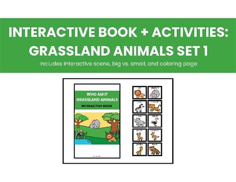 Interactive Book Activities Grassland Set 1 By Ordineri Speech