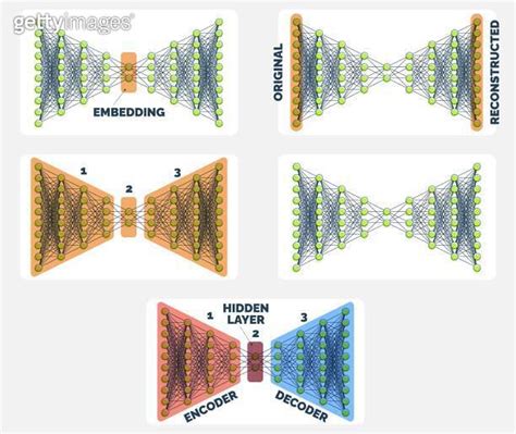 Comprehensive Autoencoder Neural Network Guide Encoding To Decoding Visuals Set Of Five