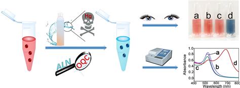 Rapid Colorimetric Detection Of Heavy Metal Hg2 In Cosmetics Based On Amrinone‐modified Aunps