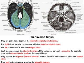 06 Venous Sinuses Ppt Treatment An Repair Ppt