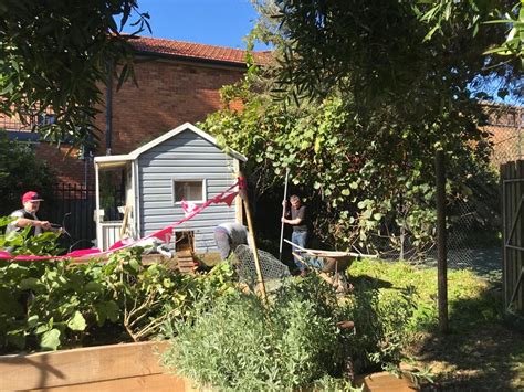 Garden Working Bee Stanmore Public School Pandc