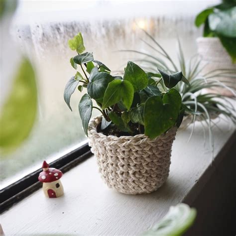 Macrame Pot Cover Etsy