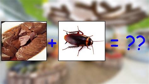 Live Cockroach Found In Packed Braised Duck Sold At Amk Hub Fairprice