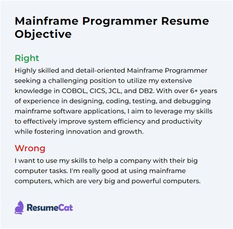 Top 18 Mainframe Programmer Resume Objective Examples
