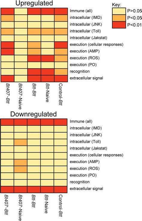P Value Heatmaps For Different Immunity Related Categories P Values