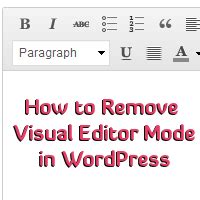 How To Remove Visual Editor Mode In WordPress