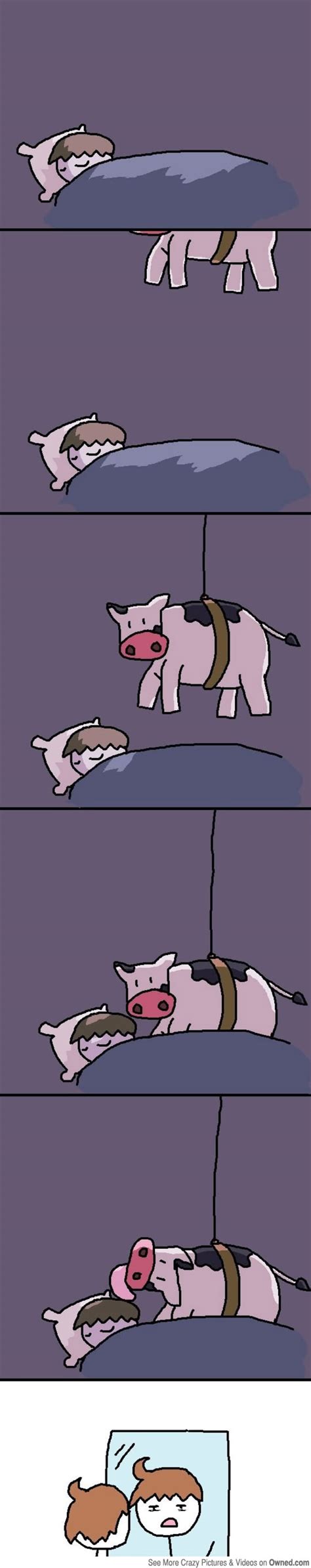 The Origin Of Cowlicks Funny Pictures Laugh Lol