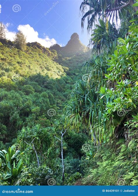 Hiking The Scenic Kalalau Trail To The Scenic Na Pali Coast In Kauai