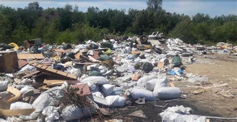 Держекоінспекція протягом 8 місяців 2022 року найбільших збитків довкіллю понад 750 млн