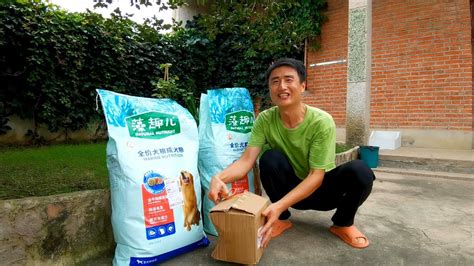 临时更新：谢谢珠红阿姨寄来的狗粮，4只小猫收养家庭已在甄选 Youtube