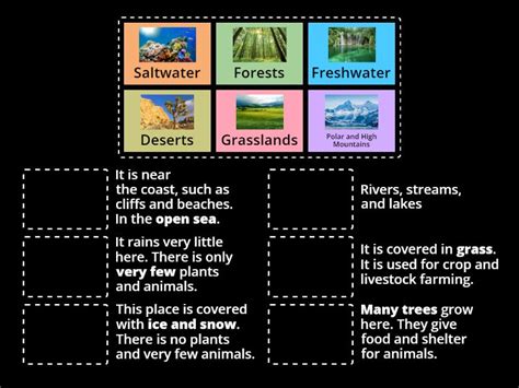 Level 3 Terrestrial And Aquatic Ecosystem Associação
