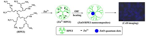 In Situ Preparation Of Amphibious Zno Quantum Dots With Blue Fluorescence Based On Hyperbranched