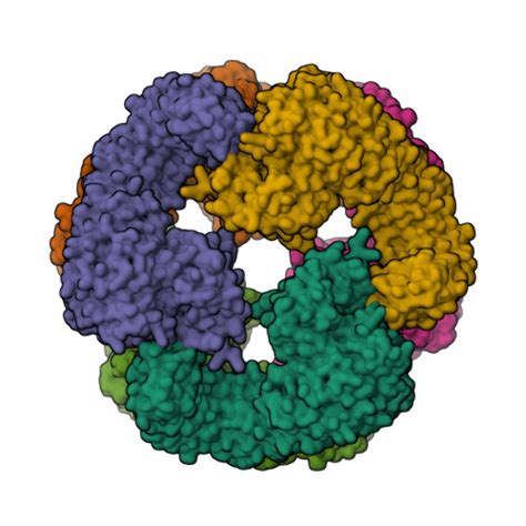 Rcsb Pdb 8swk Cryo Em Structure Of Nlrp3 Closed Hexamer