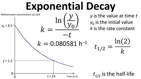 Half Life Formula Calculus