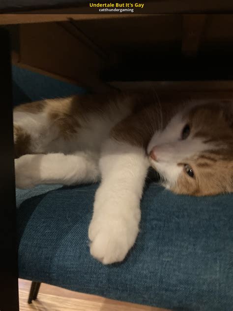 Undertale But Its Gay Mod For Undertale Undertale Mods