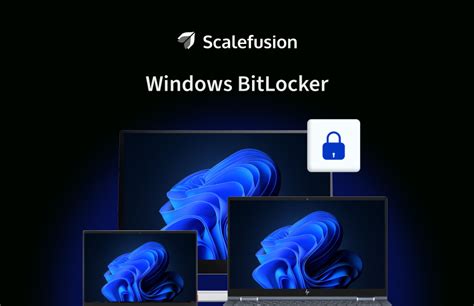 Apa Itu Enkripsi Drive Bitlocker Panduan Untuk Pengguna Windows