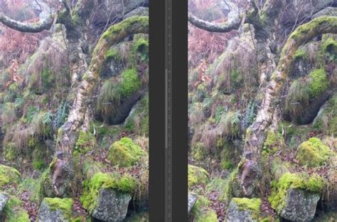 RAW Vs JPEG Which Is Best For Photography Lenscraft