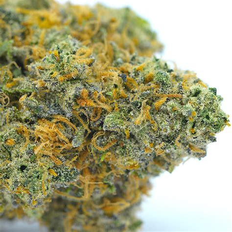 Rainbow Chip Highgradeaid Cannabis Dispensary Canada