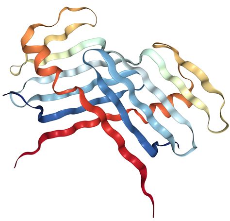 Plk4 General Information Sino Biological