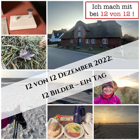 12 Von 12 Dezember 2022 12 Bilder Ein Tag Danielle Berg