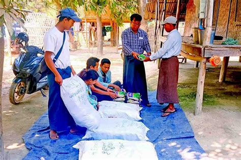 ပွင့်ဖြူမြို့နယ်၌ ကန်ထရိုက်လယ်ယာစနစ်ဖြင့် နွေသီးနှံ ရေသွင်းနှမ်း စိုက်ပ