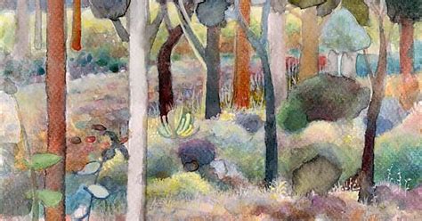 Turtle By A Puddle Imgur