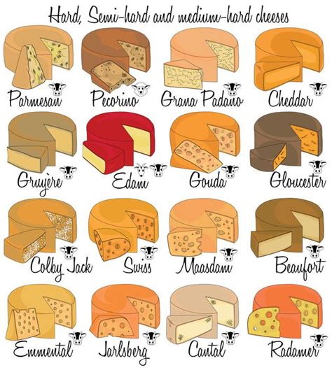 Types Of Cheese Chart