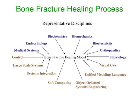 Ppt Examples Of Modeling And Simulating Large Scale Complex Systems Processes And Behaviors