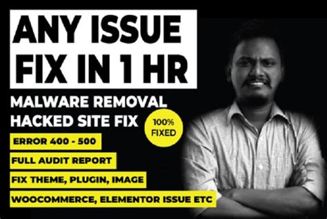 Fix Wordpress Errors Or Bugs Or Issues Quickly In 1 Hour By Aminulawedesign Fiverr