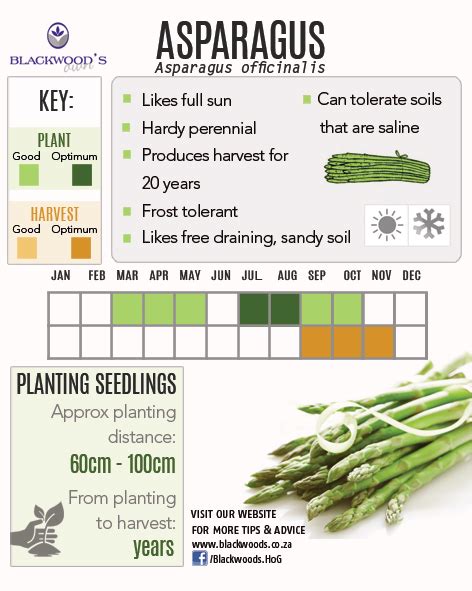 Za Download Your Vegetable Planting Charts Za