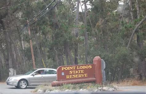 Point Lobos State Natural Reserve In Monterey 3 Reviews And 21 Photos