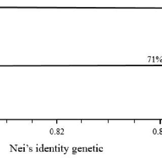 Upgma Dendrogram Based On Nei S Genetic Identity Among Syagrus Download Scientific Diagram