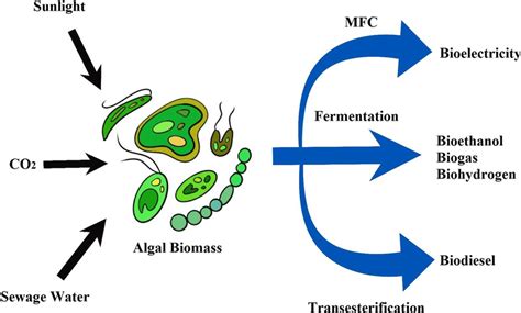Production Of Bioenergy With Algal Biomass Using Various Methods