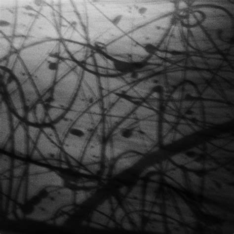 Stream Ali Lopez Music Listen To Songs Albums Playlists For Free On Soundcloud