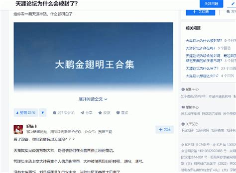codebox，一键解锁网站限制，这个插件太神了 软件安装乐园