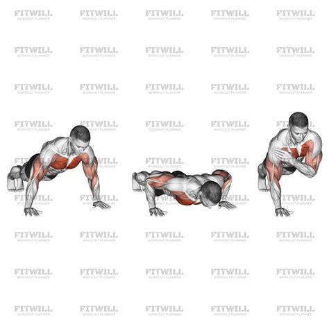 Shoulder Tap Push Up Exercise Guide Video Techniques Benefits How