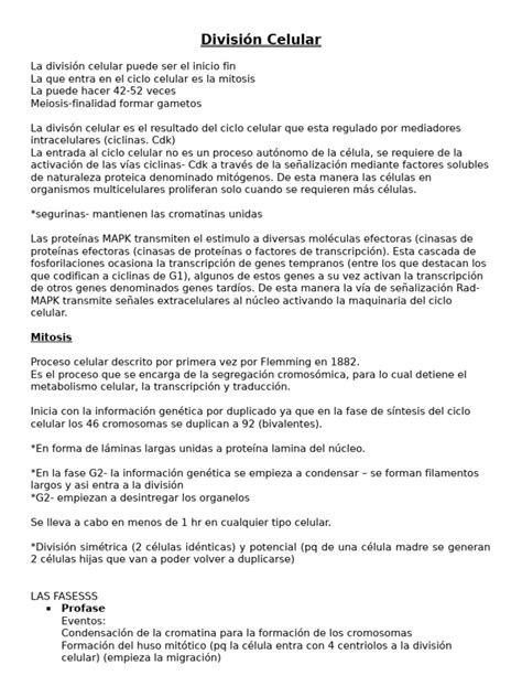 División Celular Apuntes Pdf Mitosis Mitosis