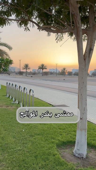 ممشى بندر الموالح جانب مركز لولو البندر اكسبلور Oman Photo Video Vibes Explore Blogger